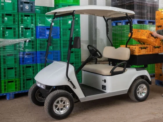 Customized Electric Golf Carts Xunhu Rich Personalization Options